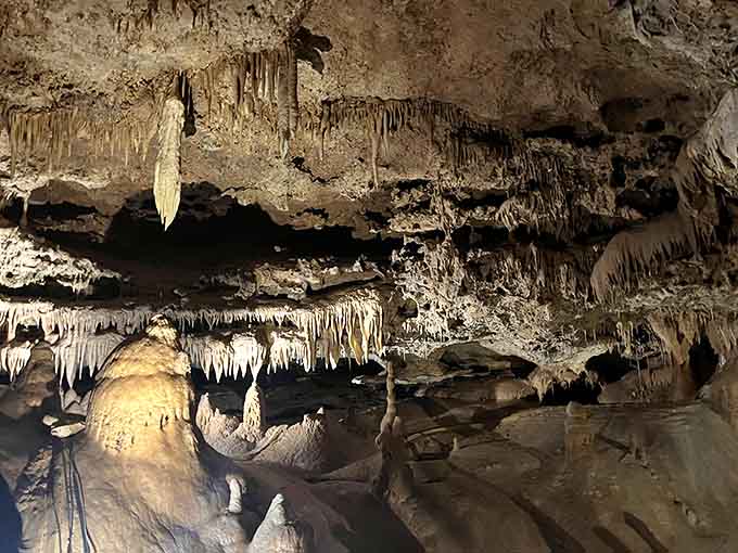 Layer upon layer of delicate formations create a ceiling that looks impossibly intricate and beautifully fragile.