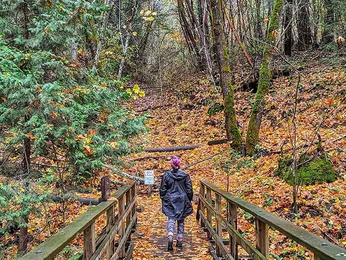 Forest trails wind through Jacksonville's natural surroundings, offering peaceful escapes just steps from all that preserved history downtown.