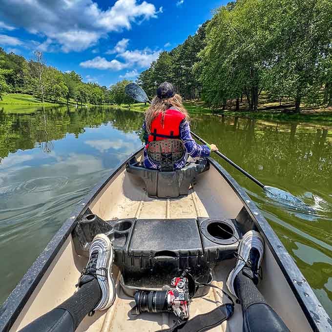 Canoeing here feels like gliding through a postcard that somehow became your actual Saturday afternoon.