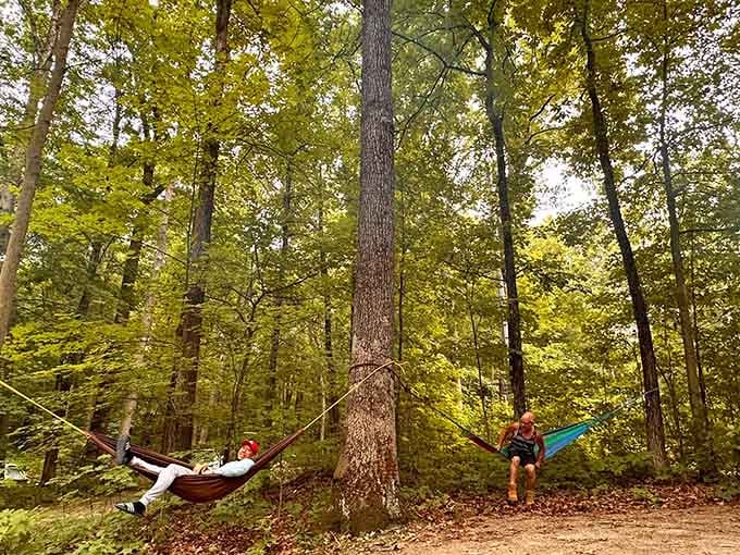 Hammock life between the trees, where adulting takes a well-deserved break and naps become mandatory outdoor activities.