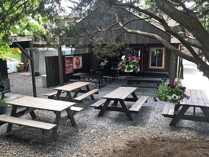 Outdoor seating under the trees turns your barbecue meal into a proper summer experience worth savoring.