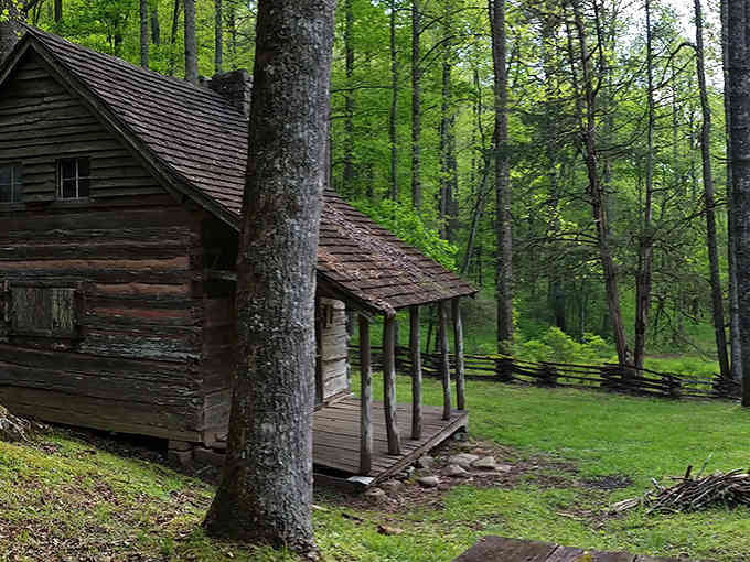 Historic cabins nestled in old-growth forest, where people once lived without Wi-Fi and somehow survived to tell about it.