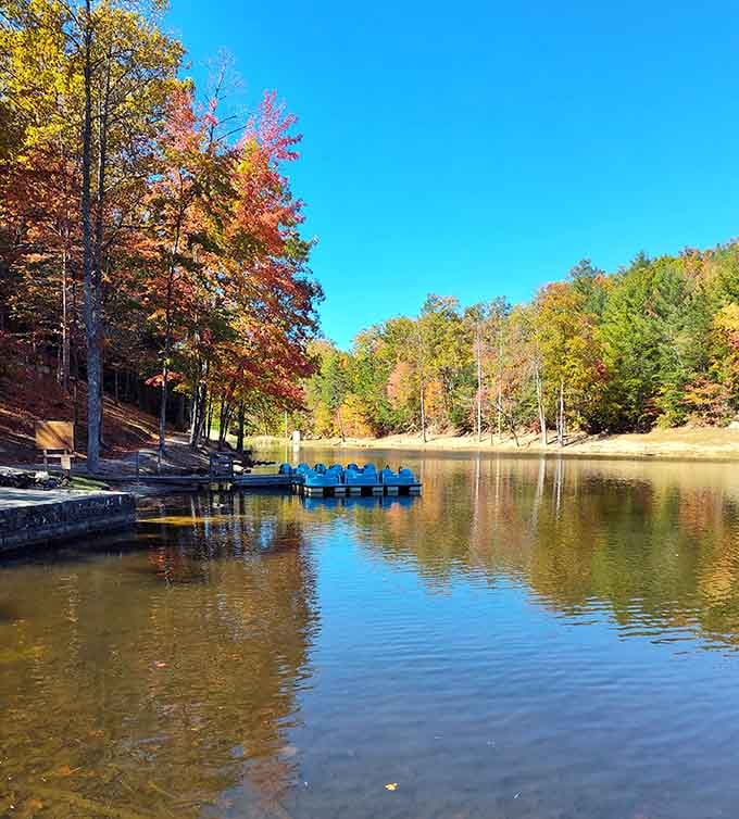 The lake reflects autumn colors so perfectly, you'll spend ten minutes deciding which way is up.