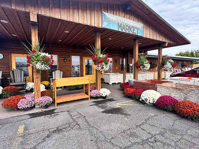 Local market with hanging baskets bursting with color, the kind of place where groceries don't require a small business loan.