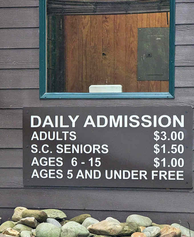 Senior discounts that actually make sense, because wisdom deserves rewards beyond just knowing where you left your keys.