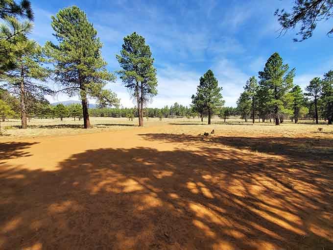 The surrounding meadow and pine forest create a serene setting that contrasts beautifully with the cave's darkness.