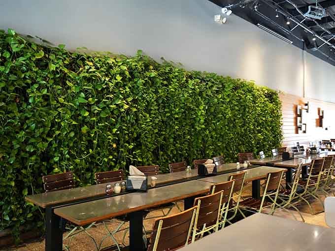 That living wall of greenery makes you feel slightly less guilty about the cheese avalanche you're about to consume.