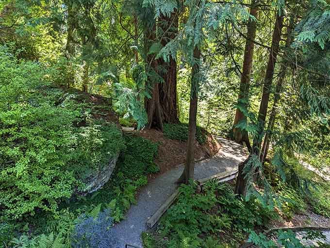 Winding trails disappear into lush greenery, beckoning you to explore what lies around the next bend.