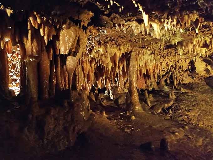 Stalactites hang like nature's chandeliers, dripping elegance one mineral deposit at a time over countless centuries.