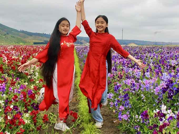 Visitors find endless photo opportunities among the blooms, making every angle Instagram gold.