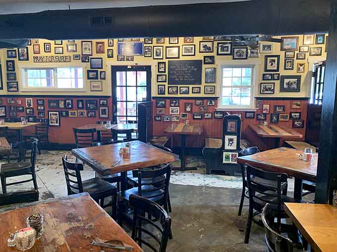 More dog photos than a veterinarian's waiting room, creating the most wholesome dining atmosphere you'll ever experience anywhere.