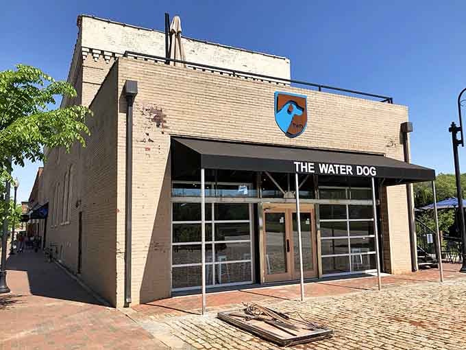 The Water Dog brings downtown dining energy to a city where good food doesn't require a second mortgage.