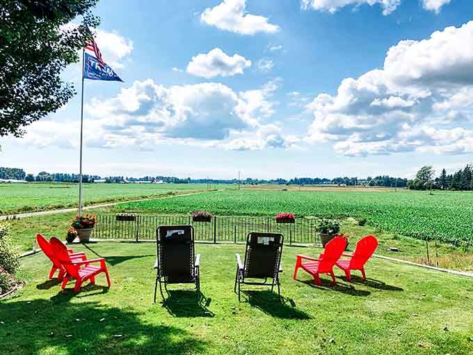 Rolling farmland views that cost zero dollars but feel like a million-dollar vacation experience somehow.