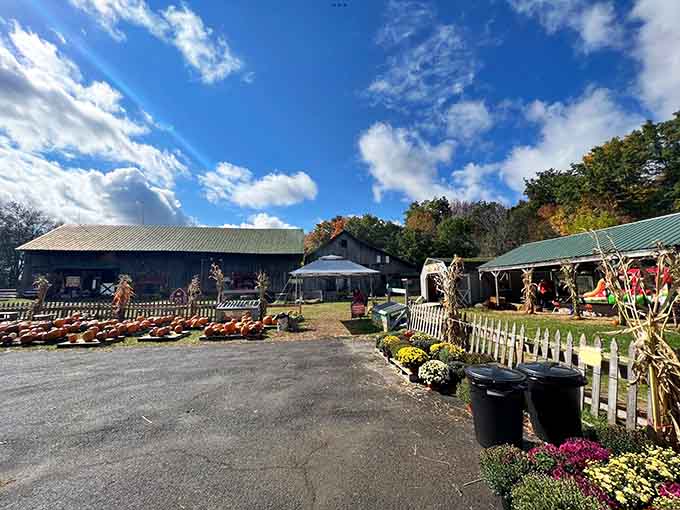 Breezy Maples farm brings fresh, local produce to a community that values quality and reasonable prices.