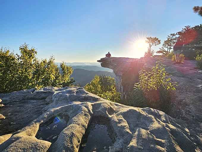 Someone found the perfect perch to contemplate life, the universe, and whether they packed enough snacks today.