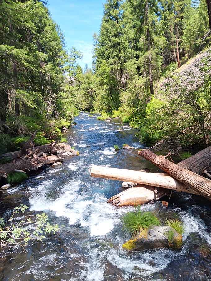 Burney Creek continues its journey downstream, offering peaceful scenes that rival the main attraction's drama and power.