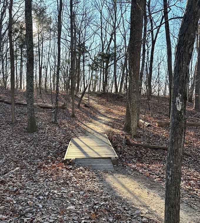 Wooden bridges helping you cross the tricky bits without getting your feet wet, because soggy socks ruin even the best adventures.