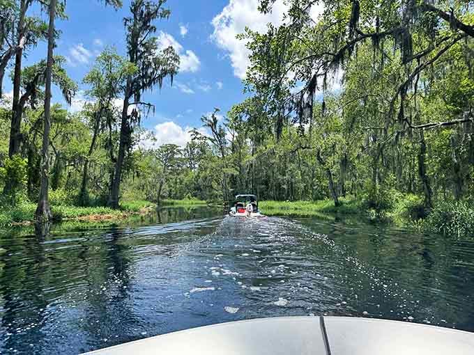 Gliding through the waterways reveals the Florida that existed before someone invented the word "development."