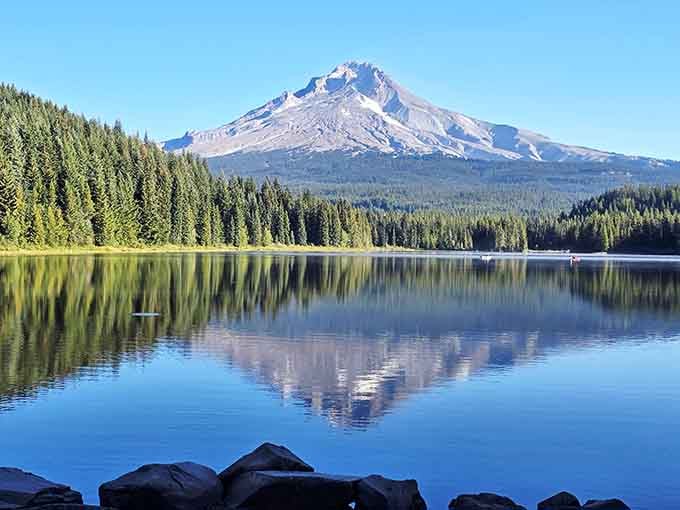 Trillium Lake mirrors Mount Hood so perfectly you'll wonder if nature's been taking photography classes on the side.