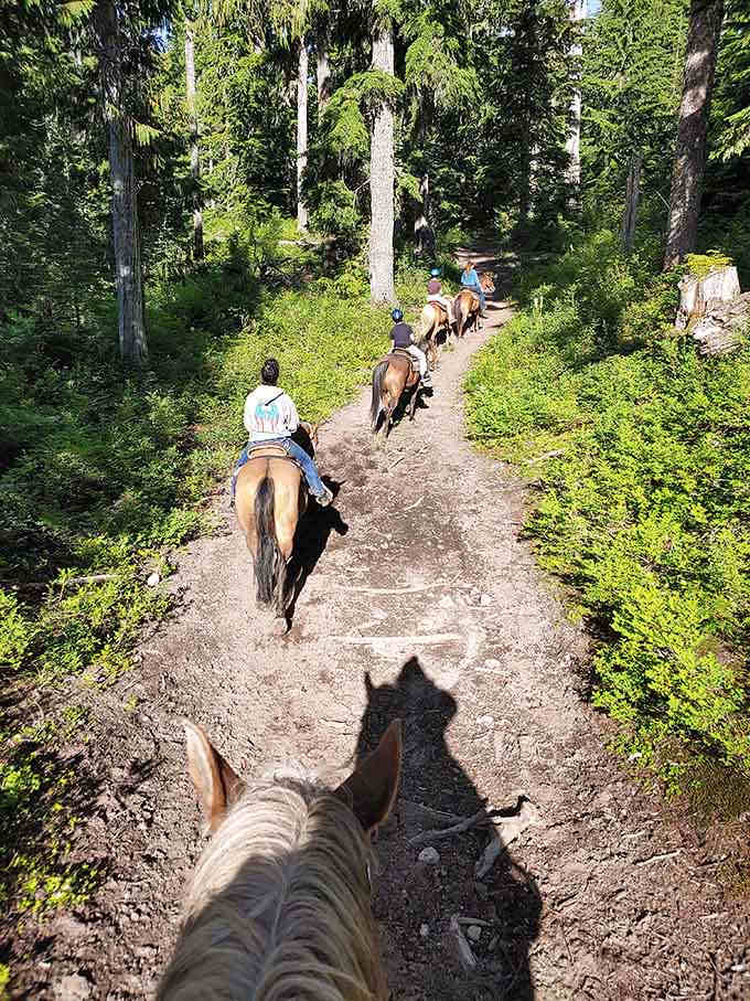 Trail rides wind through the forest, letting horses do the uphill work while you enjoy the scenery.