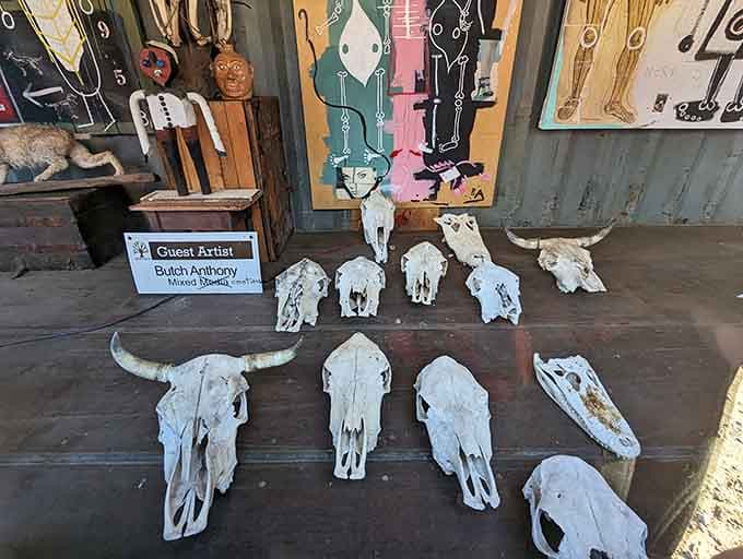 Bleached animal skulls arranged like a Georgia O'Keeffe painting remind us that nature provides the original art supplies.