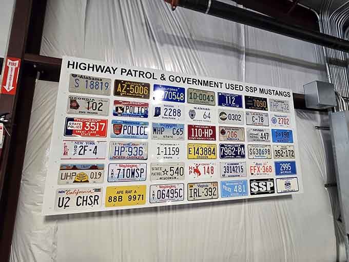 Vintage plates telling stories of cross-country adventures and highway patrol encounters from coast to coast.
