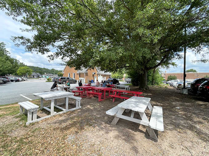 Outdoor seating under the trees where you can enjoy your burger in nature's dining room setting.