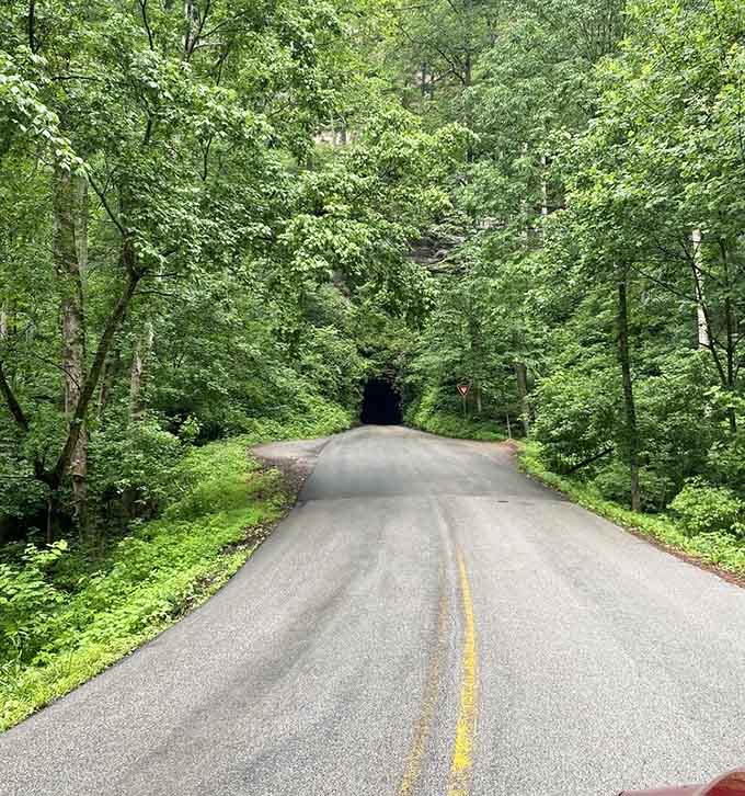 The road beckons you forward into darkness, promising an adventure that's been waiting over a hundred years.