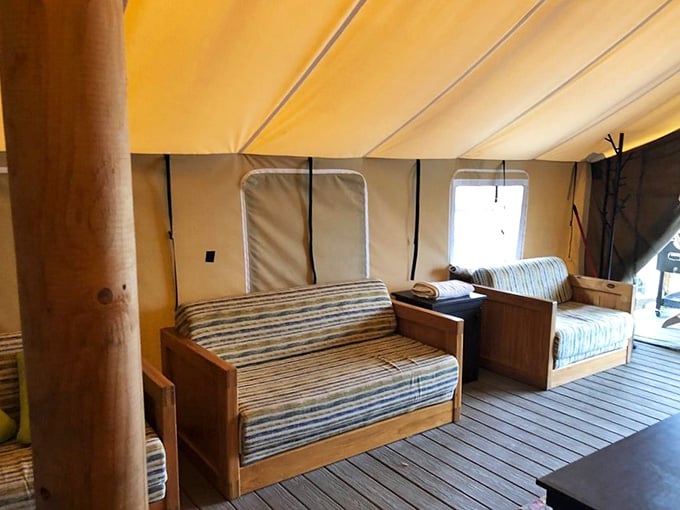 Fold-out beds inside canvas walls prove that camping comfort has evolved significantly since our parents' generation suffered through it.