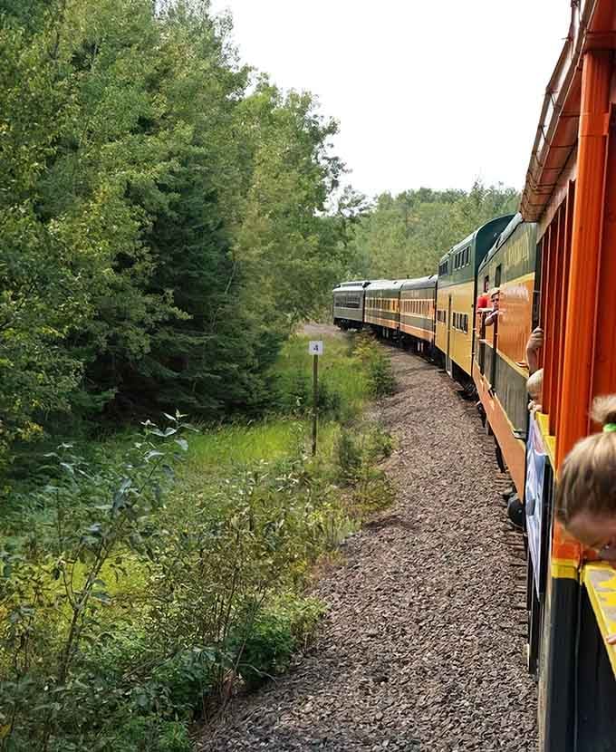 Leaning out to catch the breeze while the forest rushes past&mdash;this is what freedom on rails looks like, folks.