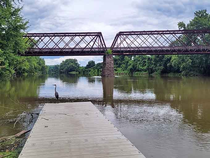 Waterfront docks offer front-row seats to sunsets that cost absolutely nothing but deliver memories worth everything.