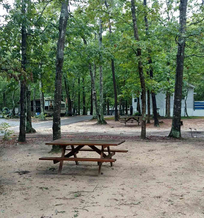 Picnic tables positioned perfectly for meals that taste better outdoors, even if it's just peanut butter sandwiches again.