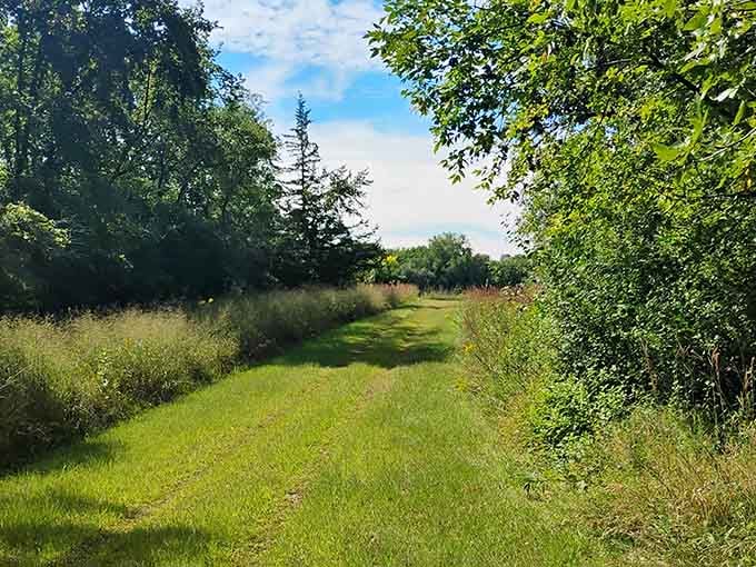 Tree-lined paths wind through the property, inviting exploration of this living museum at your own leisurely pace.