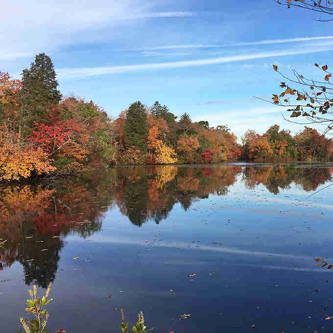 Fall foliage reflected in calm water is nature showing off, and honestly, we're here for the performance.