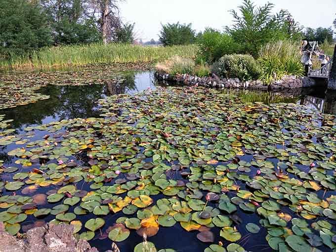 Lily pads blanket the water in summer, adding natural beauty to complement all that carefully arranged stonework.