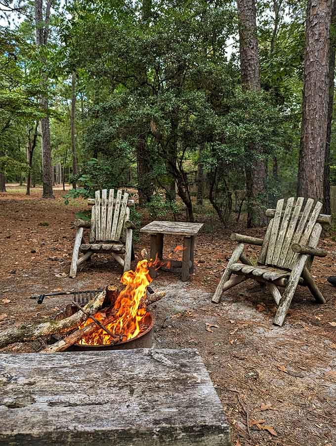 Fire pits and rustic chairs create the perfect setting for s'mores, stories, and stargazing after sunset.