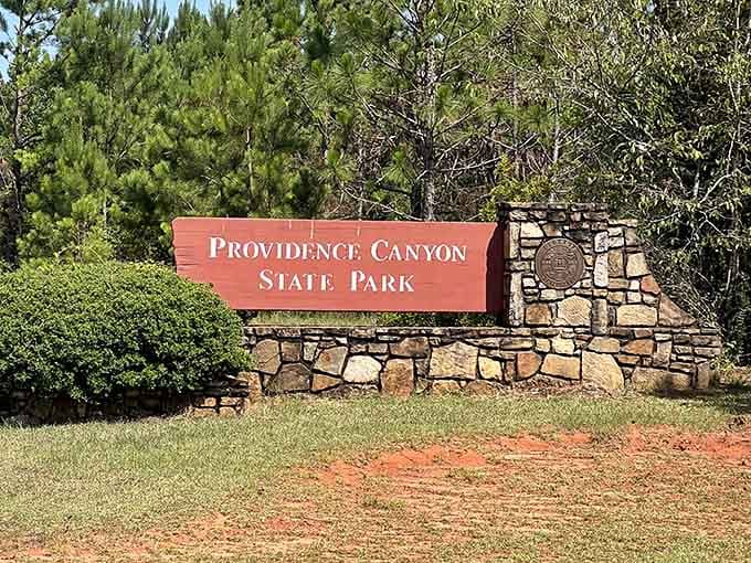 You've arrived at one of Georgia's best-kept secrets, where the real adventure is about to begin.