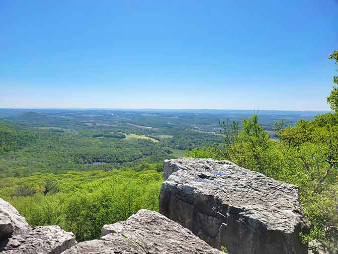 Spring's vibrant greens frame the overlook perfectly, proving every season offers its own brand of beautiful up here.