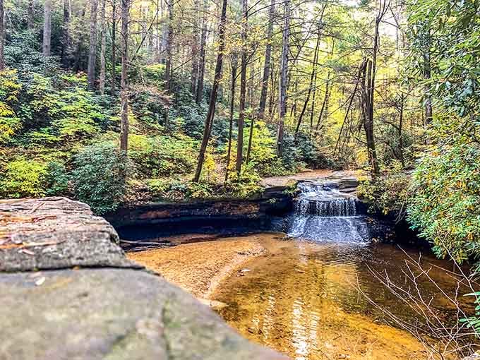 That gentle cascade spilling into amber pools creates the kind of tranquil scene that lowers blood pressure instantly.