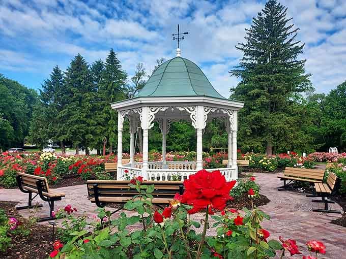 Richmond's Rose Garden blooms with over 1,500 bushes, creating a fragrant paradise that beats any expensive department store perfume counter.