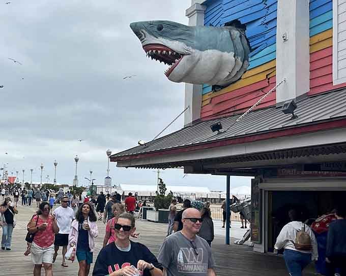 That menacing shark has watched thousands of visitors enter, knowing full well they'll exit thoroughly bewildered.