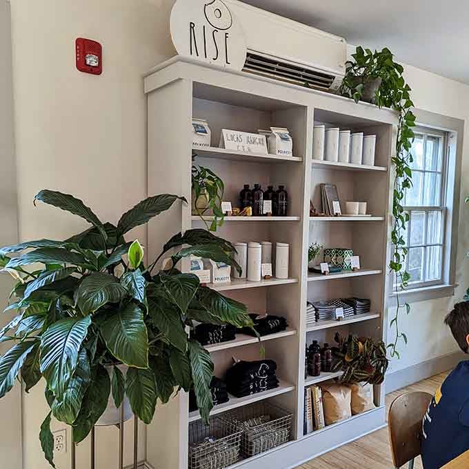 Shelves stocked with Rise merchandise because apparently loving their donuts means wanting to advertise that fact to everyone.