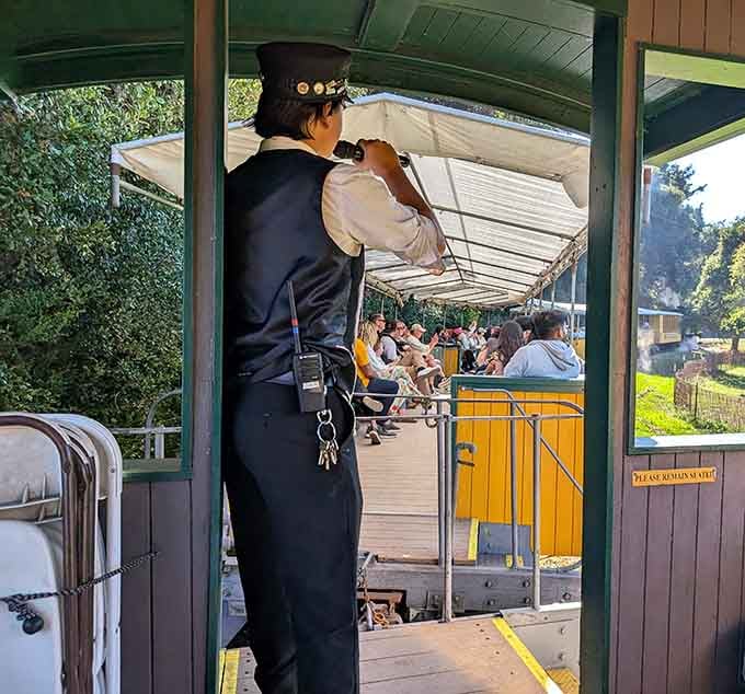 The conductor brings stories and expertise to every ride, making history feel alive rather than just something from textbooks.