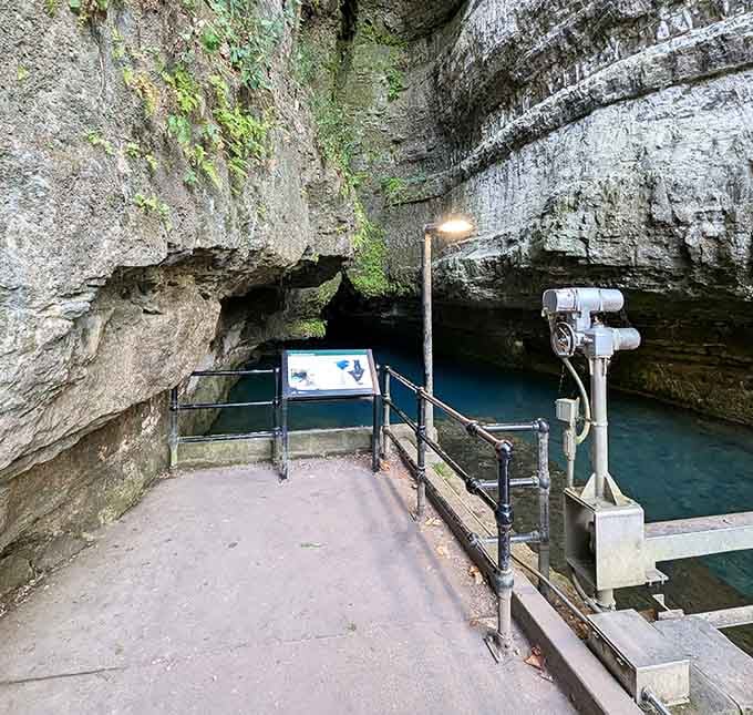 The viewing platform lets you watch nature's daily miracle unfold as millions of gallons emerge from underground limestone chambers.