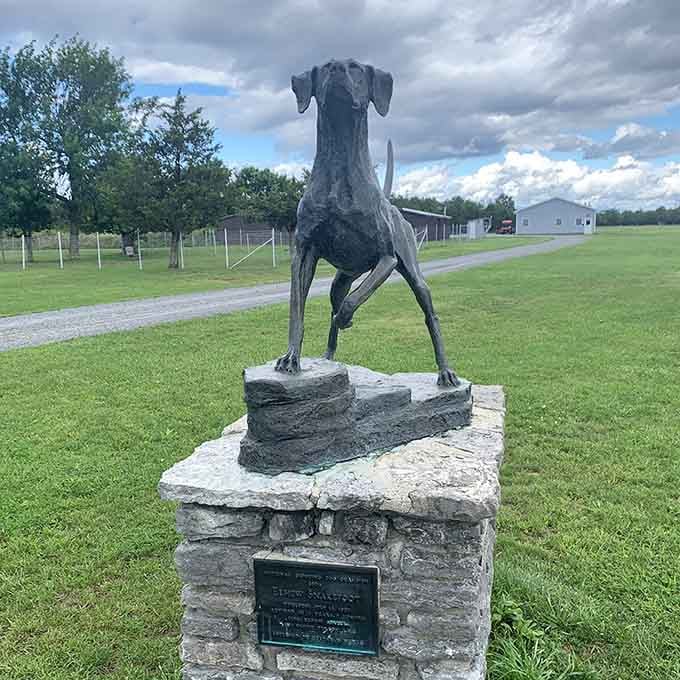 This bronze dog sculpture honors the park's hunting heritage with dignity and artistic flair worth admiring.