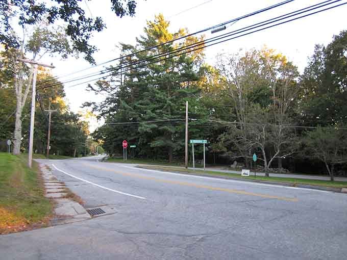 The roadside views here cost absolutely nothing, which makes them infinitely more valuable than any streaming subscription you're paying for.