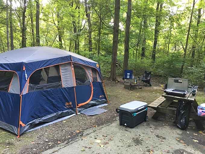 Camping at Shades means trading your Netflix queue for a canopy of stars and zero regrets.