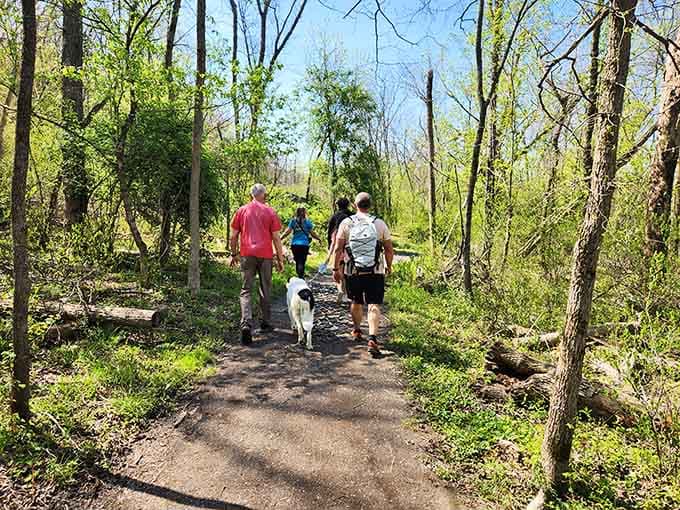 Trail companions make every hike better, especially when they're equally excited about mud puddles and scenic overlooks alike.