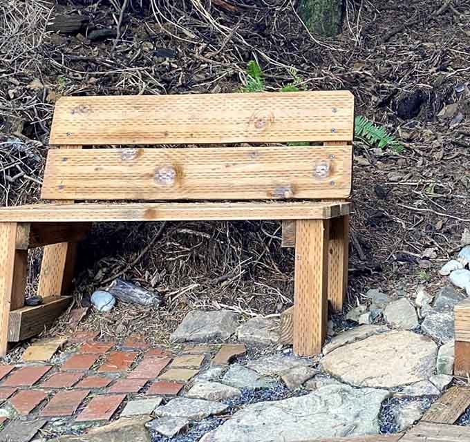 Simple wooden benches along the trail invite you to pause and soak in the coastal forest atmosphere.