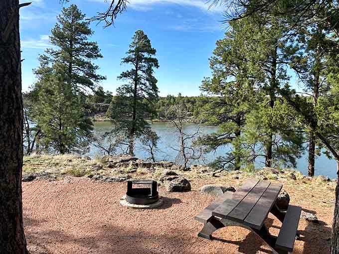 Fool Hollow Lake Recreation Area provides lakeside camping spots where your biggest decision is which picnic table has better views.